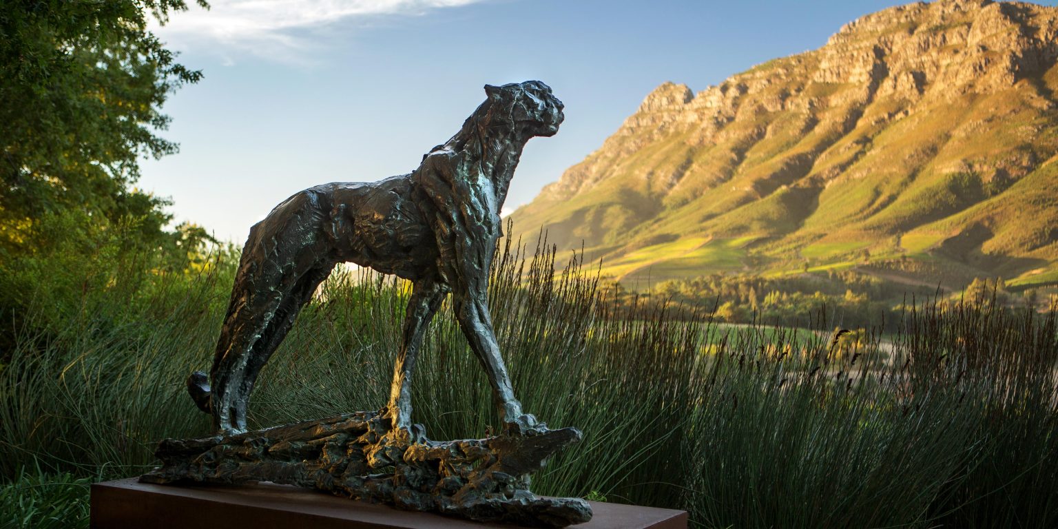 Holistic Spa Stellenbosch | Spa Retreats | Delaire Graff Estate